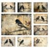 Monotone Bird Junk Journal Collection - Hello Brazen