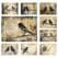 Monotone Bird Junk Journal Collection - Hello Brazen