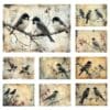 Monotone Bird Junk Journal Collection - Hello Brazen