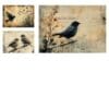Monotone Bird Junk Journal Collection - Hello Brazen